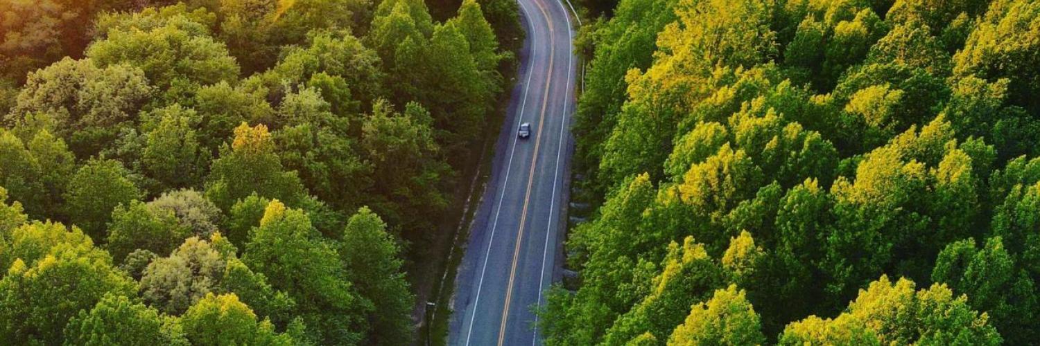 Arval Trading, used car professional