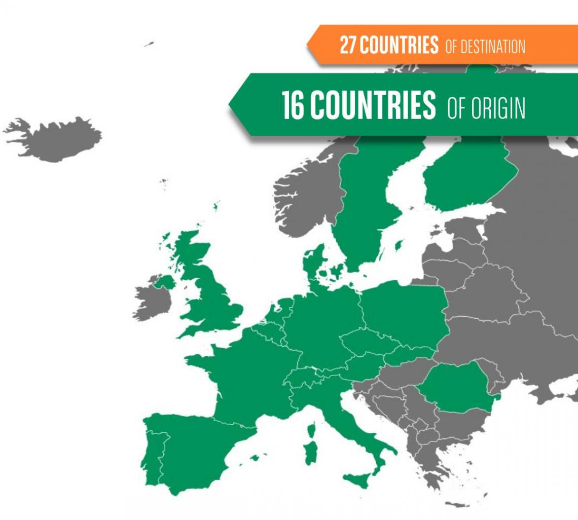 Expert partner in importing used cars for Professionals | Arval Trading